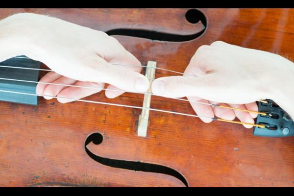 A step-by-step guide to keeping your bridge healthy | Focus | The Strad